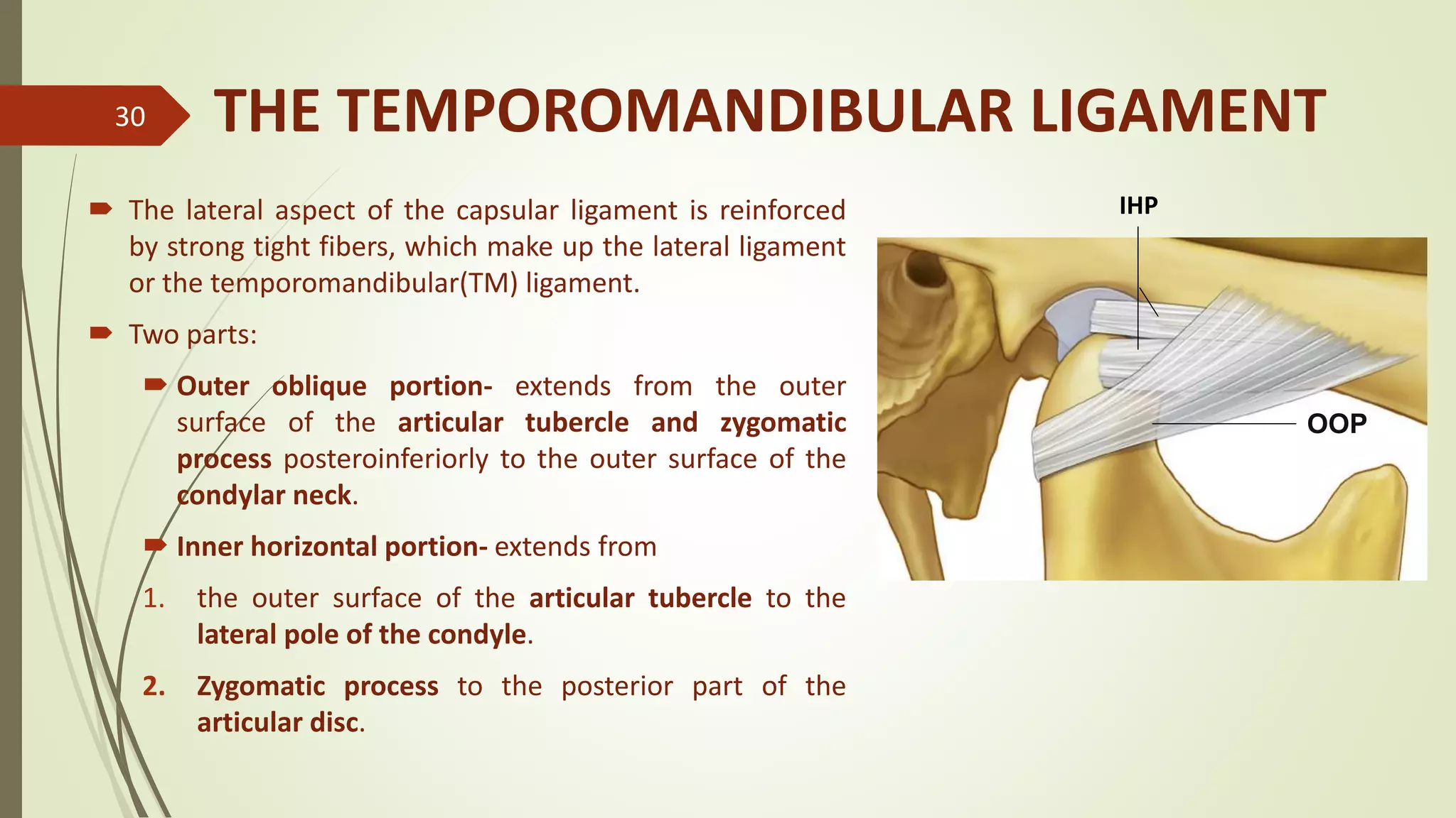 TMJ Anatomy and TMD | PPTX