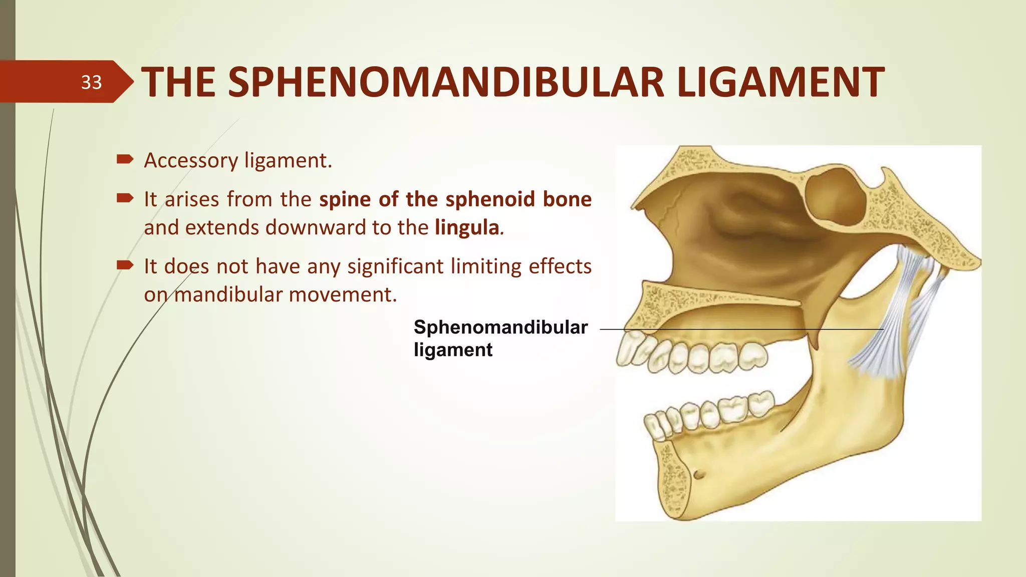 TMJ Anatomy and TMD | PPTX