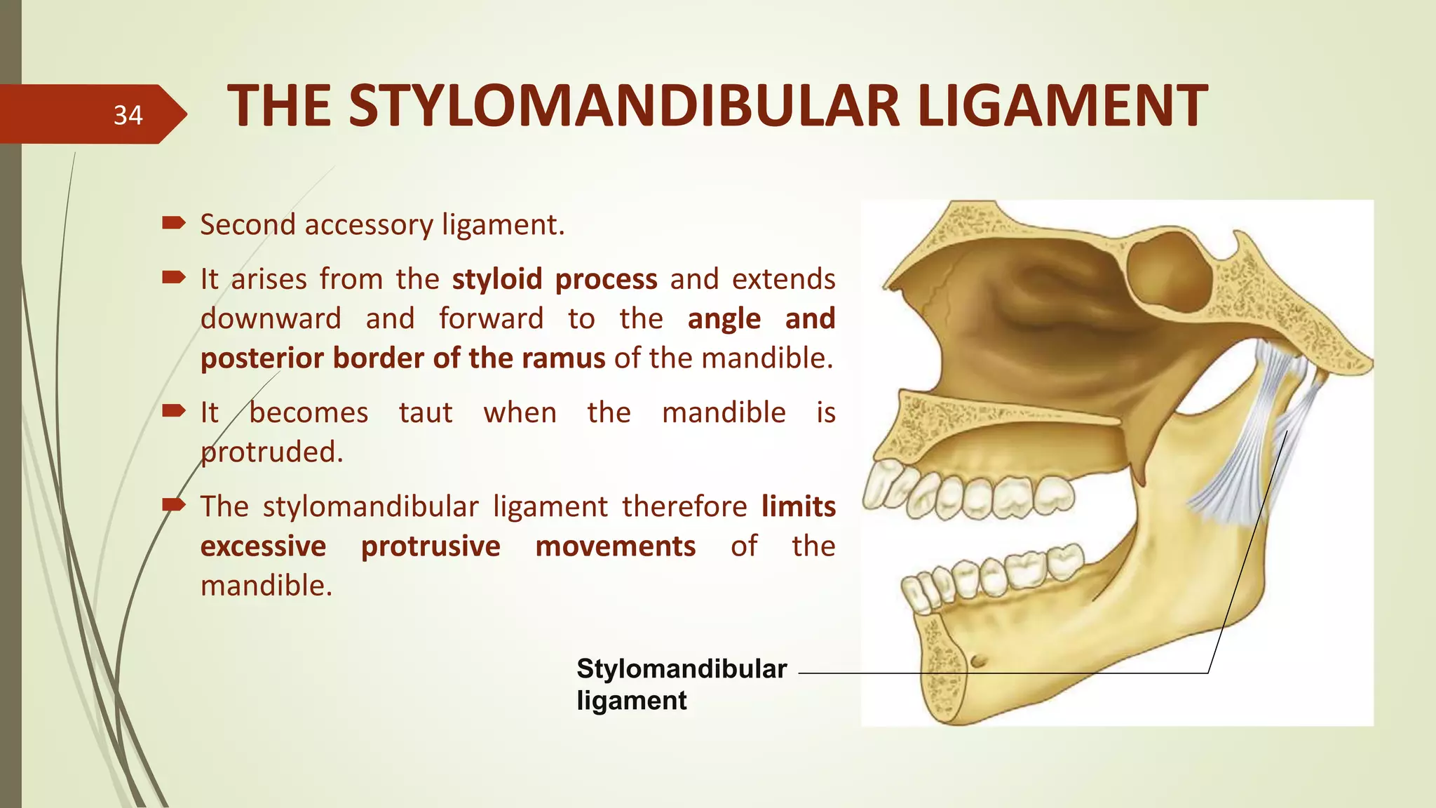 TMJ Anatomy and TMD | PPTX