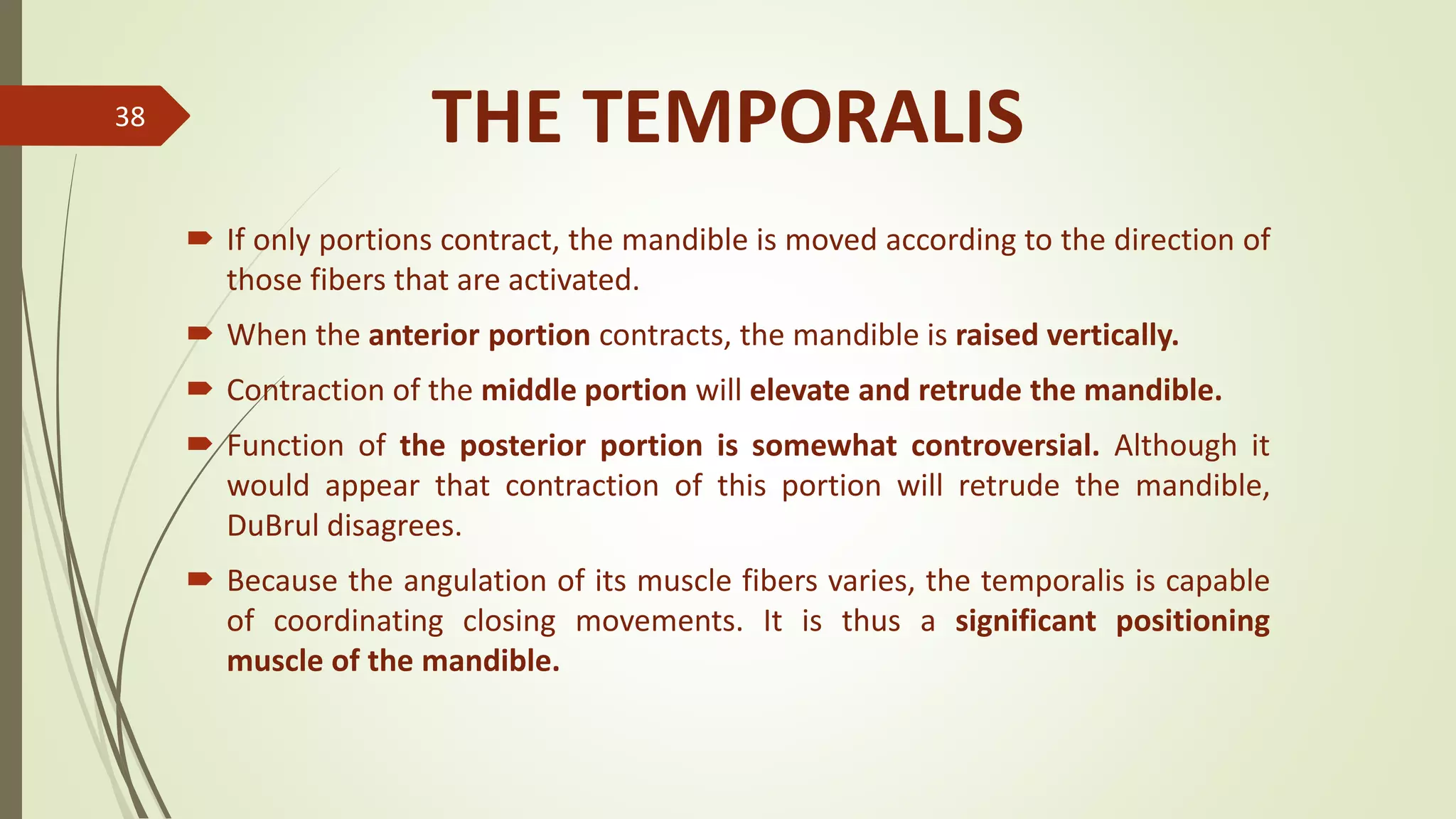 TMJ Anatomy and TMD | PPTX