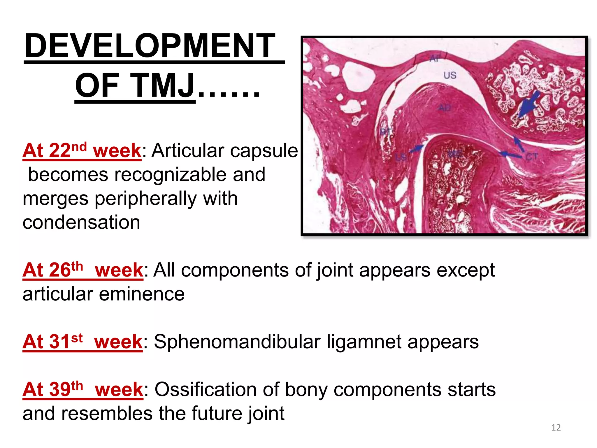 Tmj and prosthodontic implications | PPTX