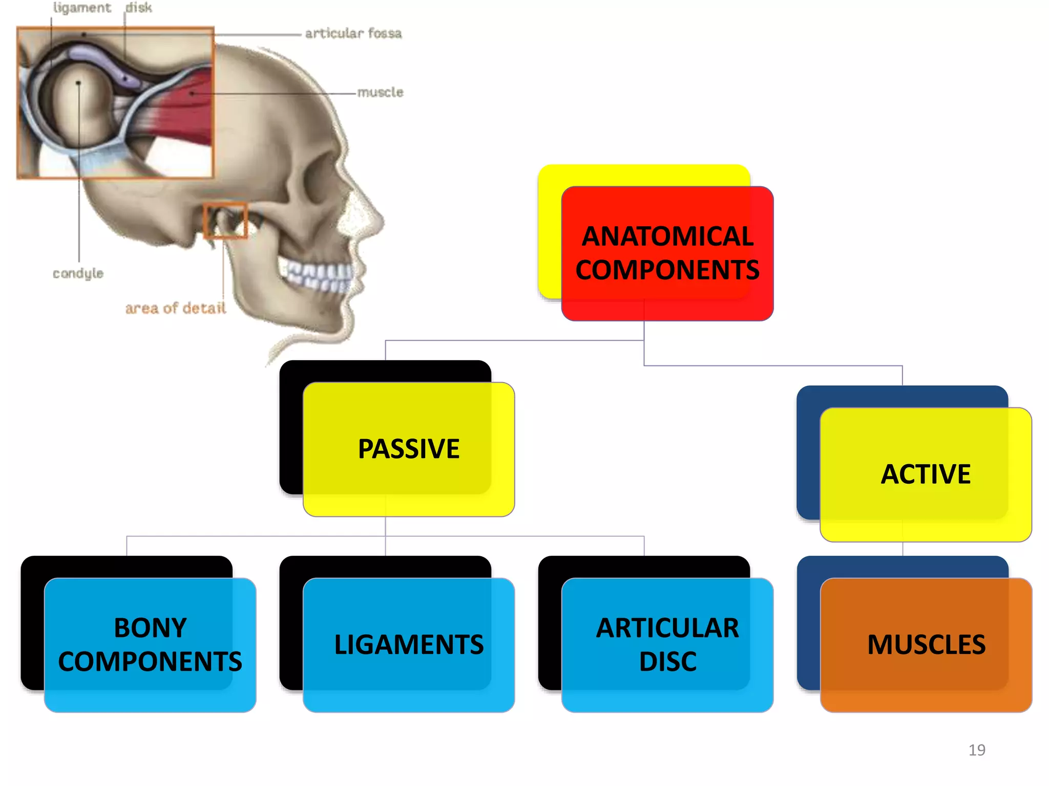 Tmj and prosthodontic implications | PPTX