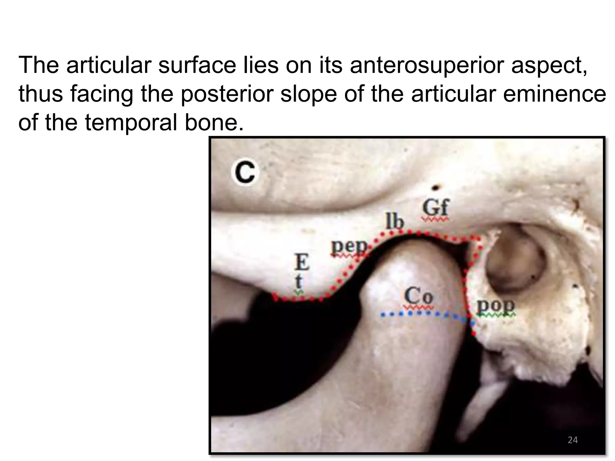 Tmj and prosthodontic implications | PPTX