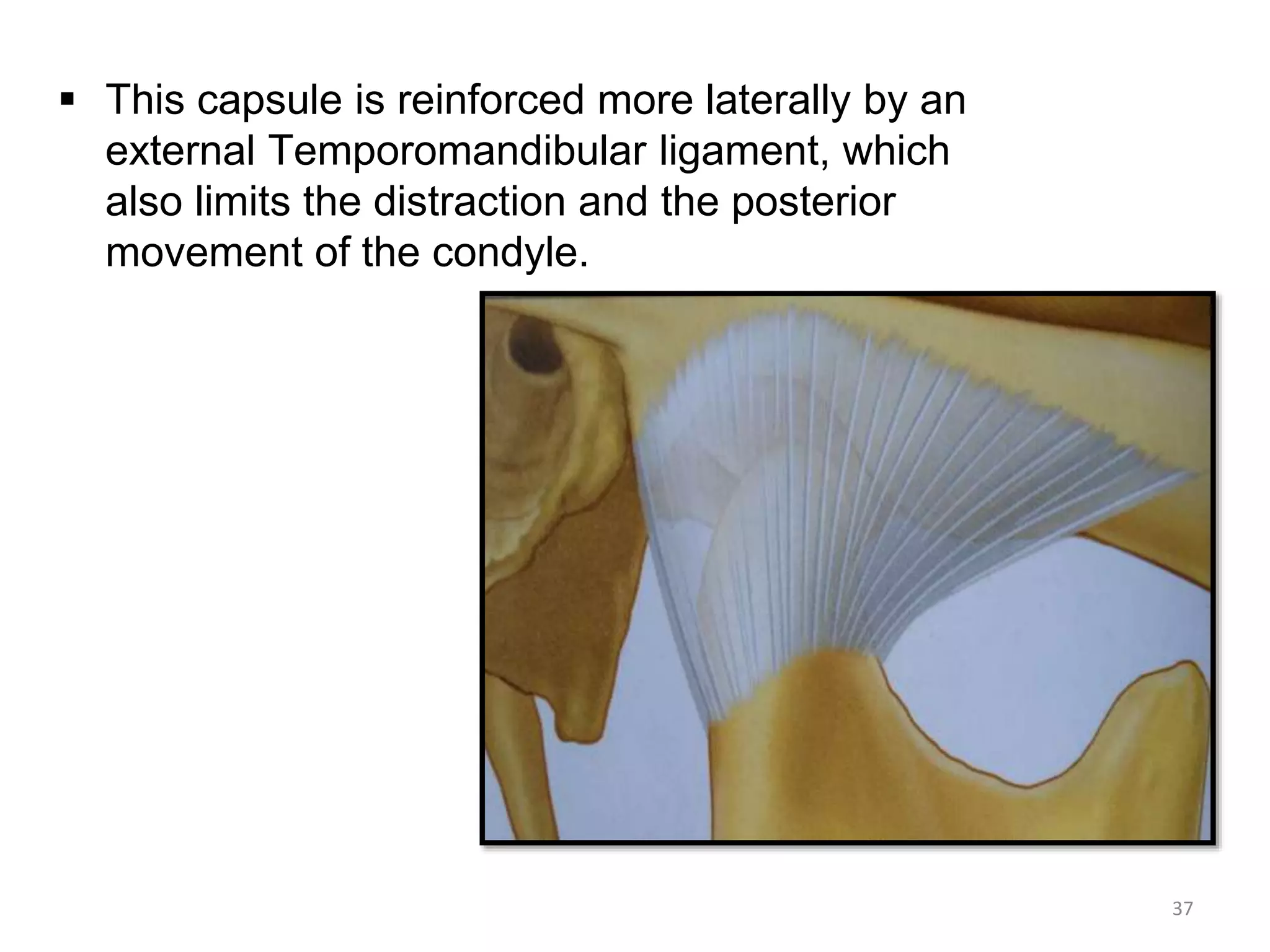 Tmj and prosthodontic implications | PPTX