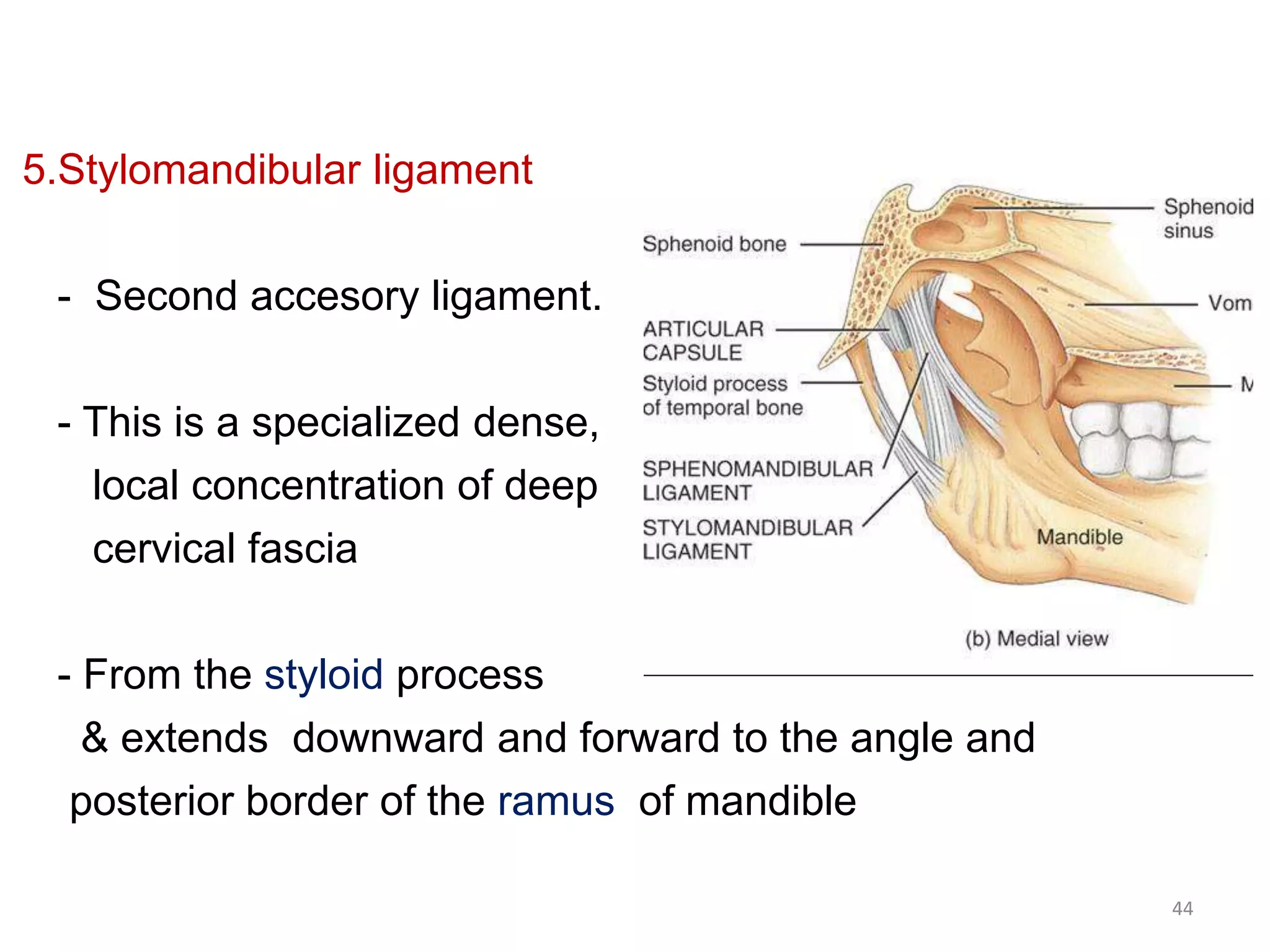 Tmj and prosthodontic implications | PPTX