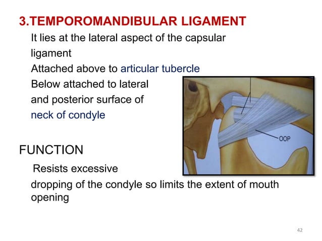 Tmj and prosthodontic implications | PPTX