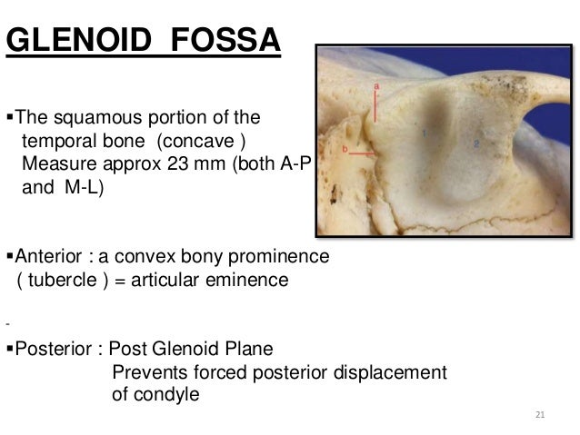 Tmj and prosthodontic implications