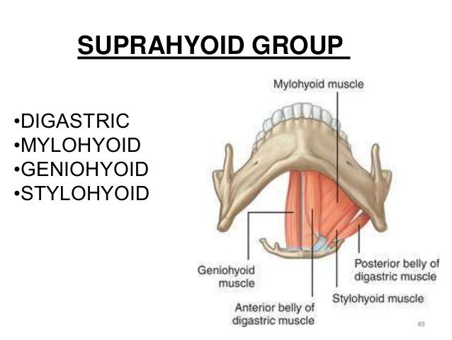 Tmj and prosthodontic implications