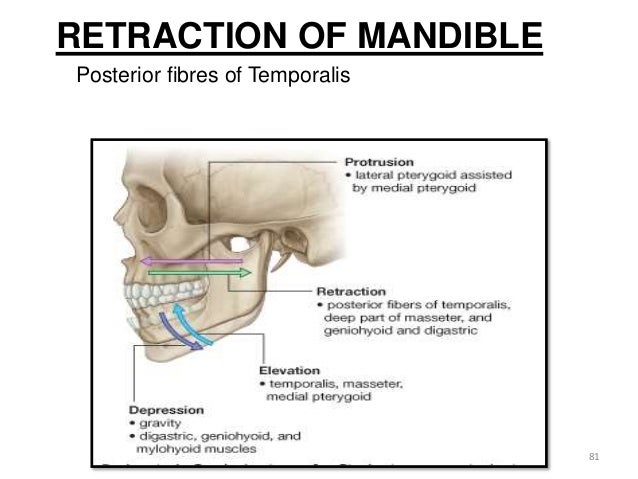 Tmj and prosthodontic implications
