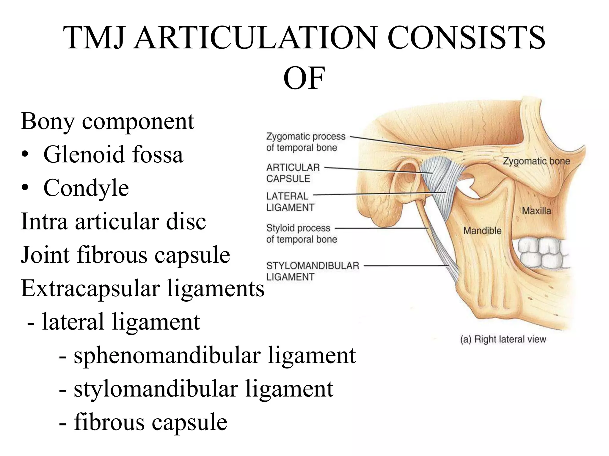 Tmj ankylosis | PPTX