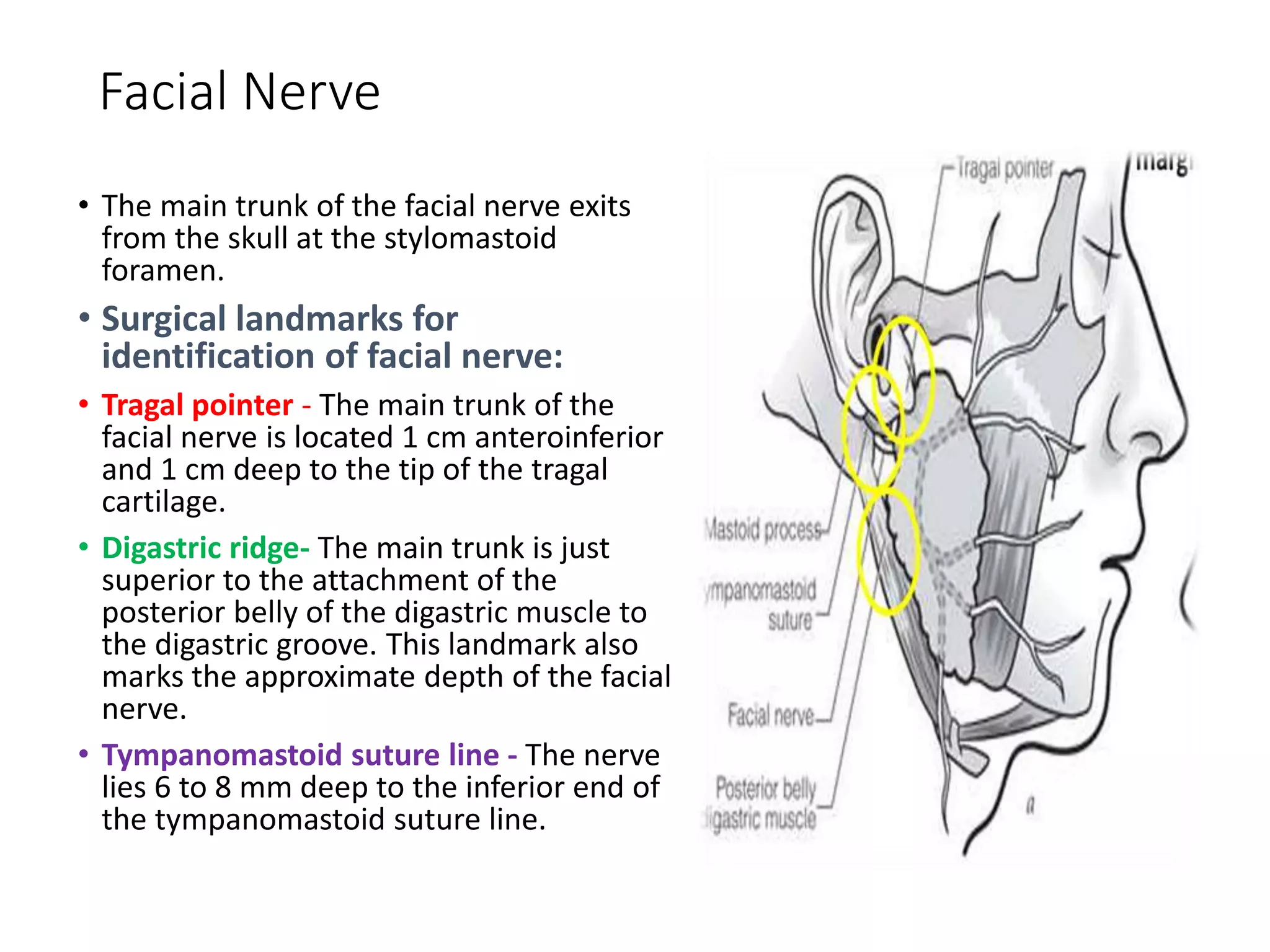 Temporomandibular joint ankylosis and its management | PPTX