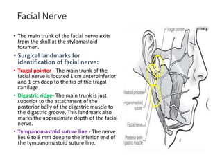 Temporomandibular joint ankylosis and its management | PPT