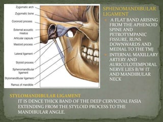 Tmj & ankylosis ppt | PPTX