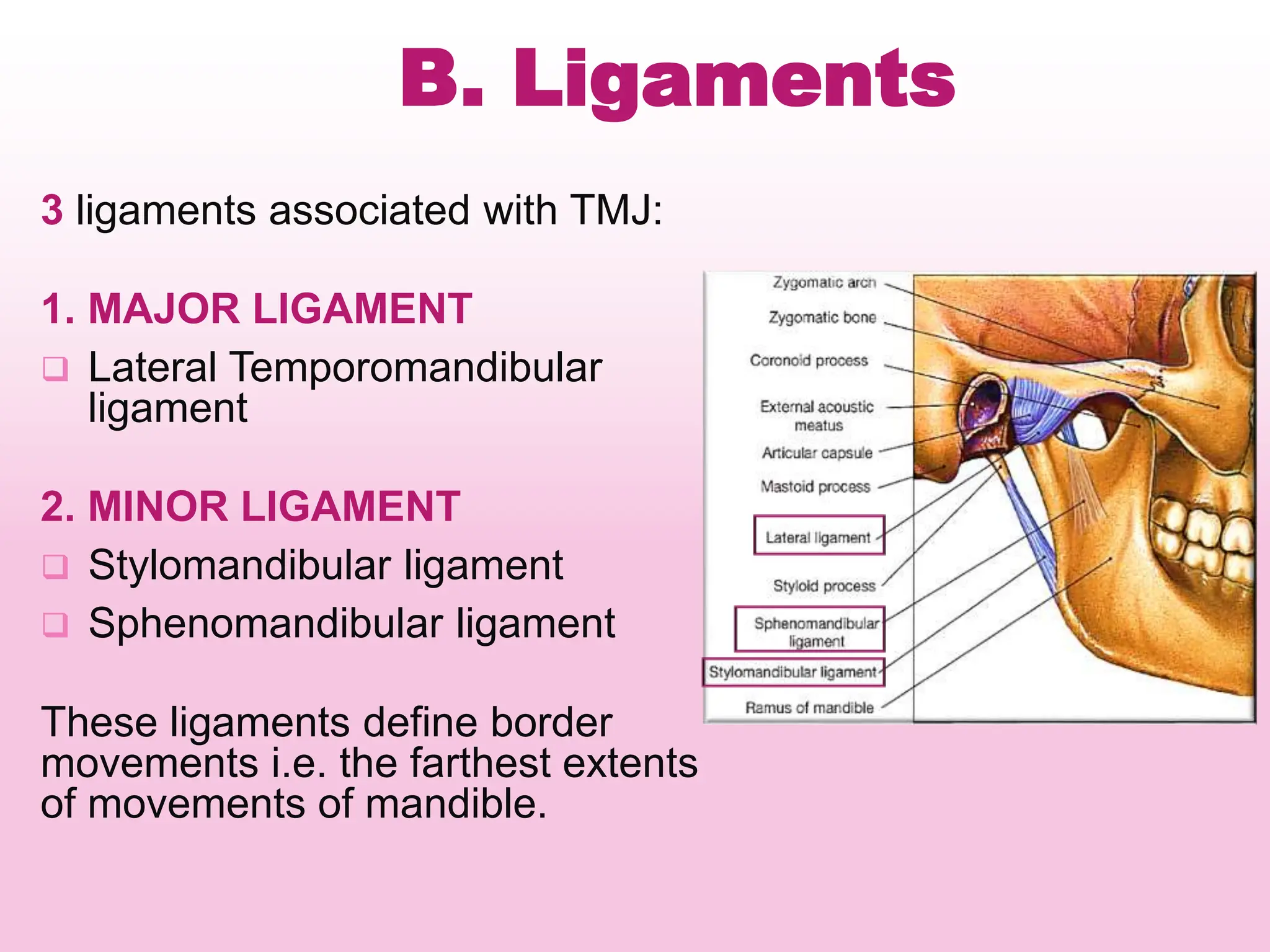 Temporomandibular Joint By RABIA INAM GANDAPORE.pptx