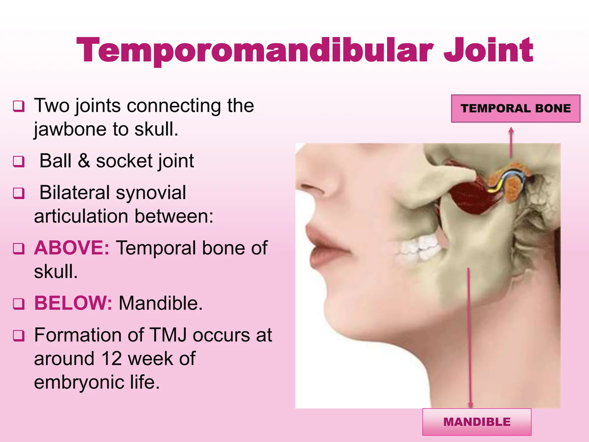 Temporomandibular Joint By RABIA INAM GANDAPORE.pptx