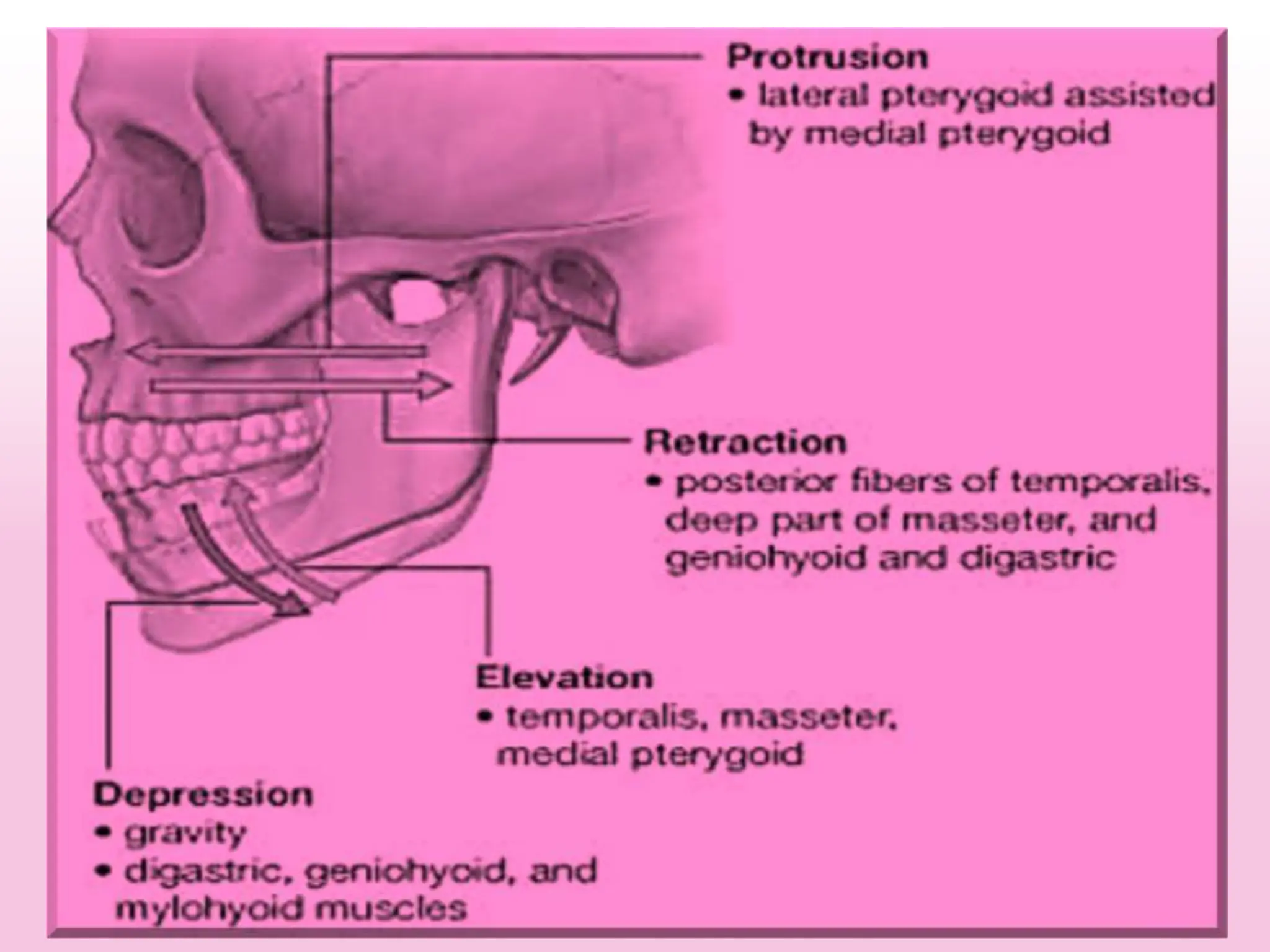 Temporomandibular Joint By RABIA INAM GANDAPORE.pptx