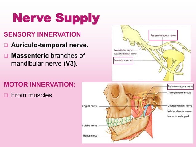 Temporomandibular Joint By RABIA INAM GANDAPORE.pptx