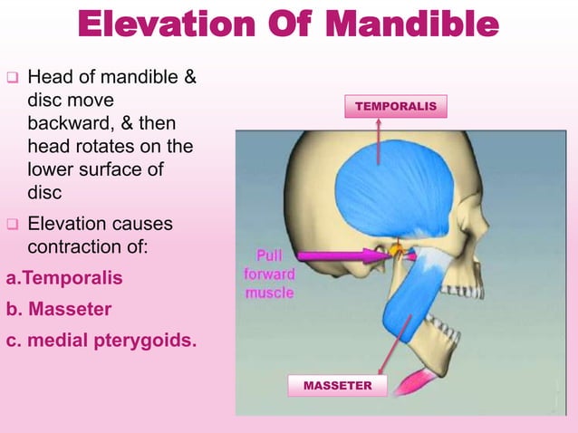 Temporomandibular Joint By RABIA INAM GANDAPORE.pptx
