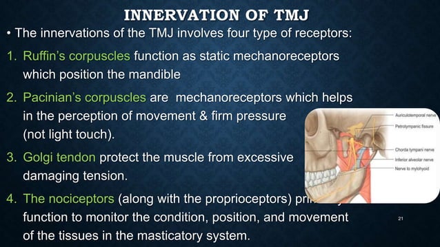 TMJ Disorder And its Management | PPTX