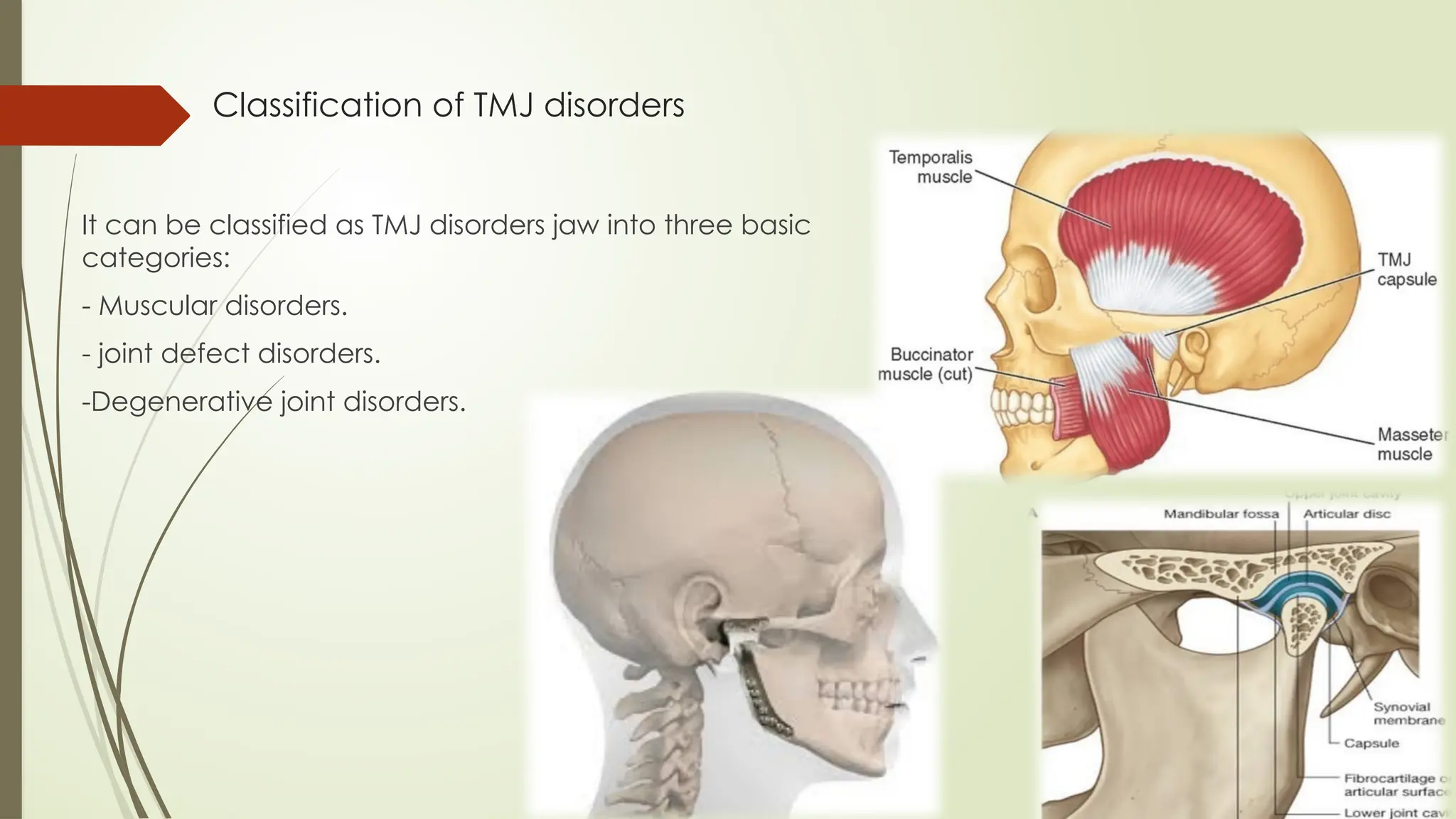 TEMPORO MANDIBULAR JOINT DISORDERSORDERS | PPTX | Physical Therapy | Wellness