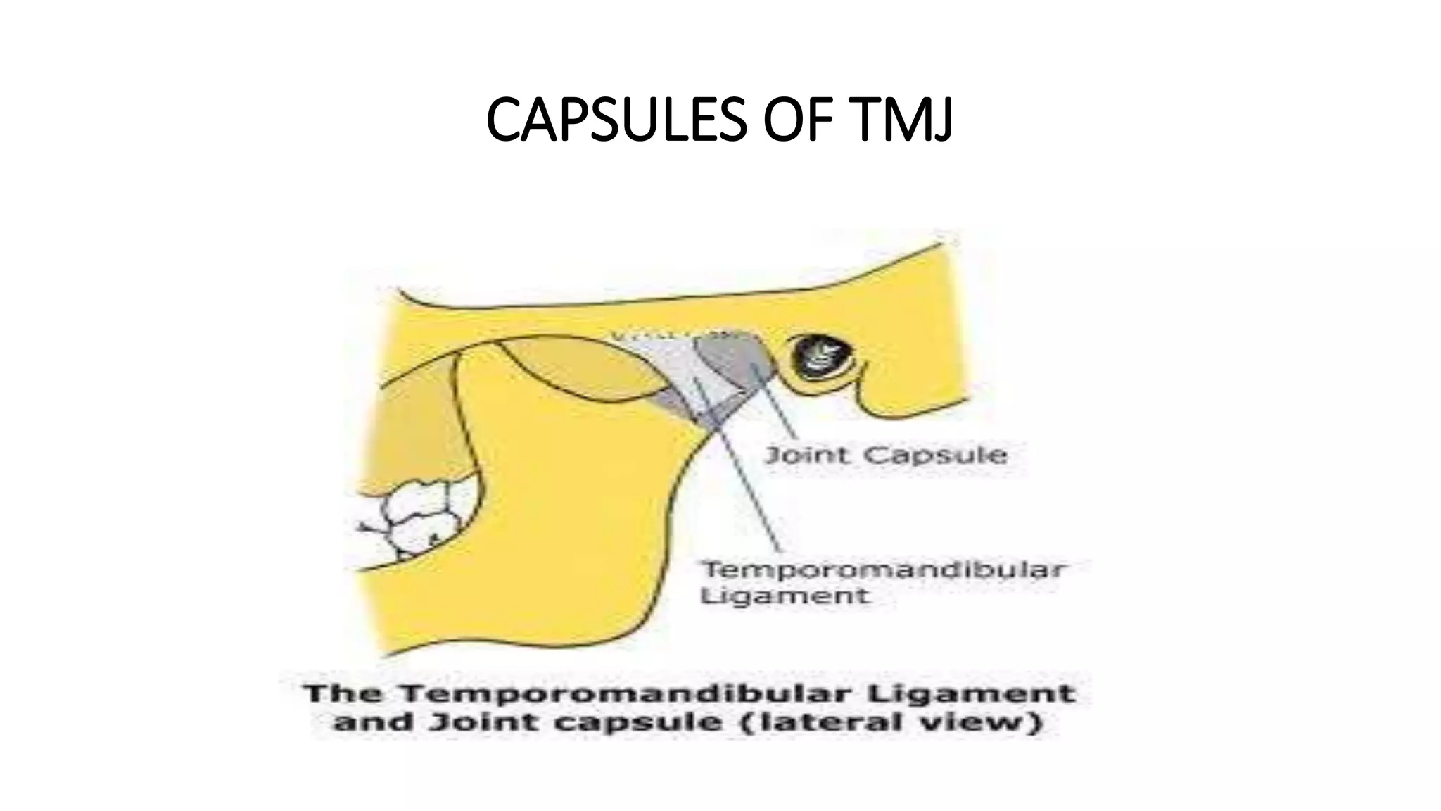 Tmj dysfunctions | PPTX
