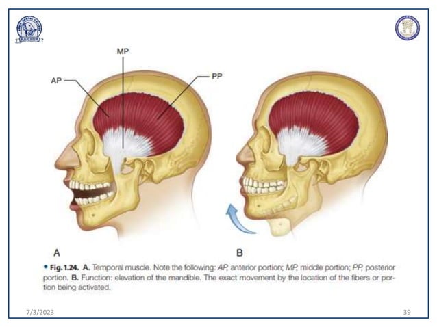 TMJ EVALUATION AND ITS ANATOMY.pptx