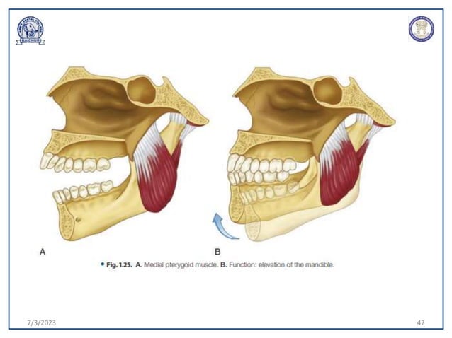 TMJ EVALUATION AND ITS ANATOMY.pptx