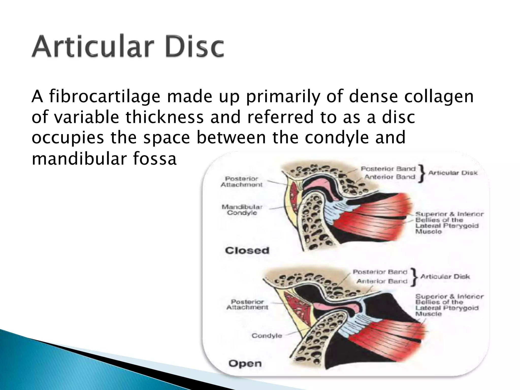 Tm j examination | PPTX
