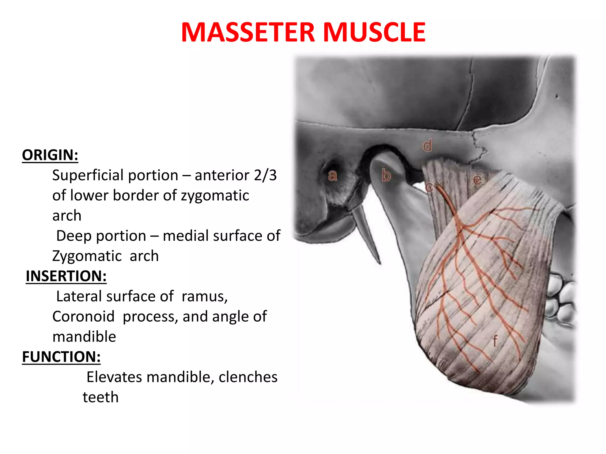 Tmj examination & imaging | PPTX