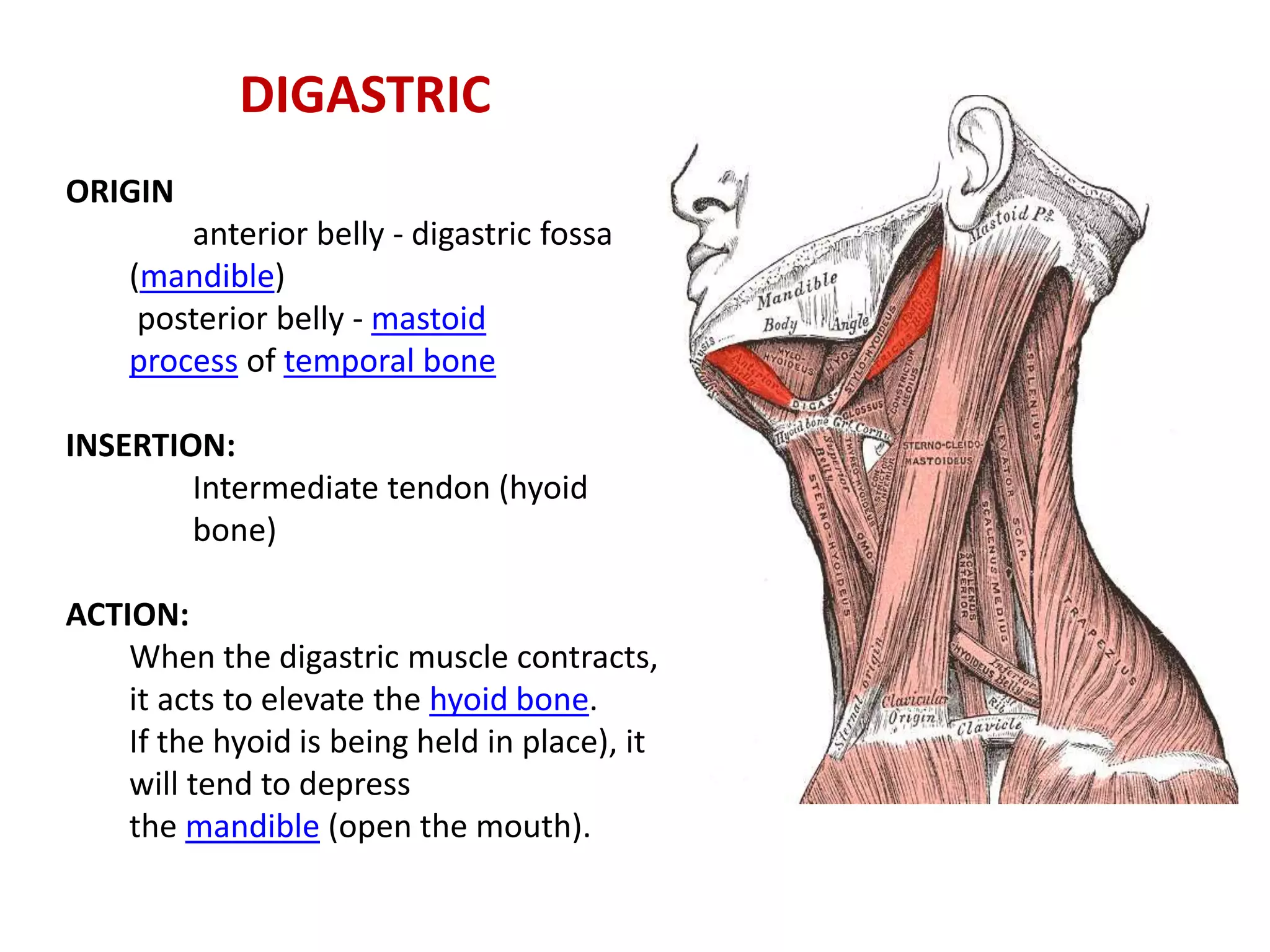 Tmj examination & imaging | PPTX