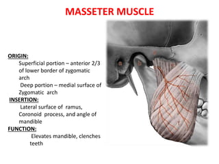 Tmj examination & imaging | PPTX