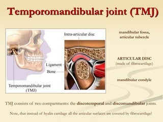 tmj_facialexpr_em1_kom2018.ppt