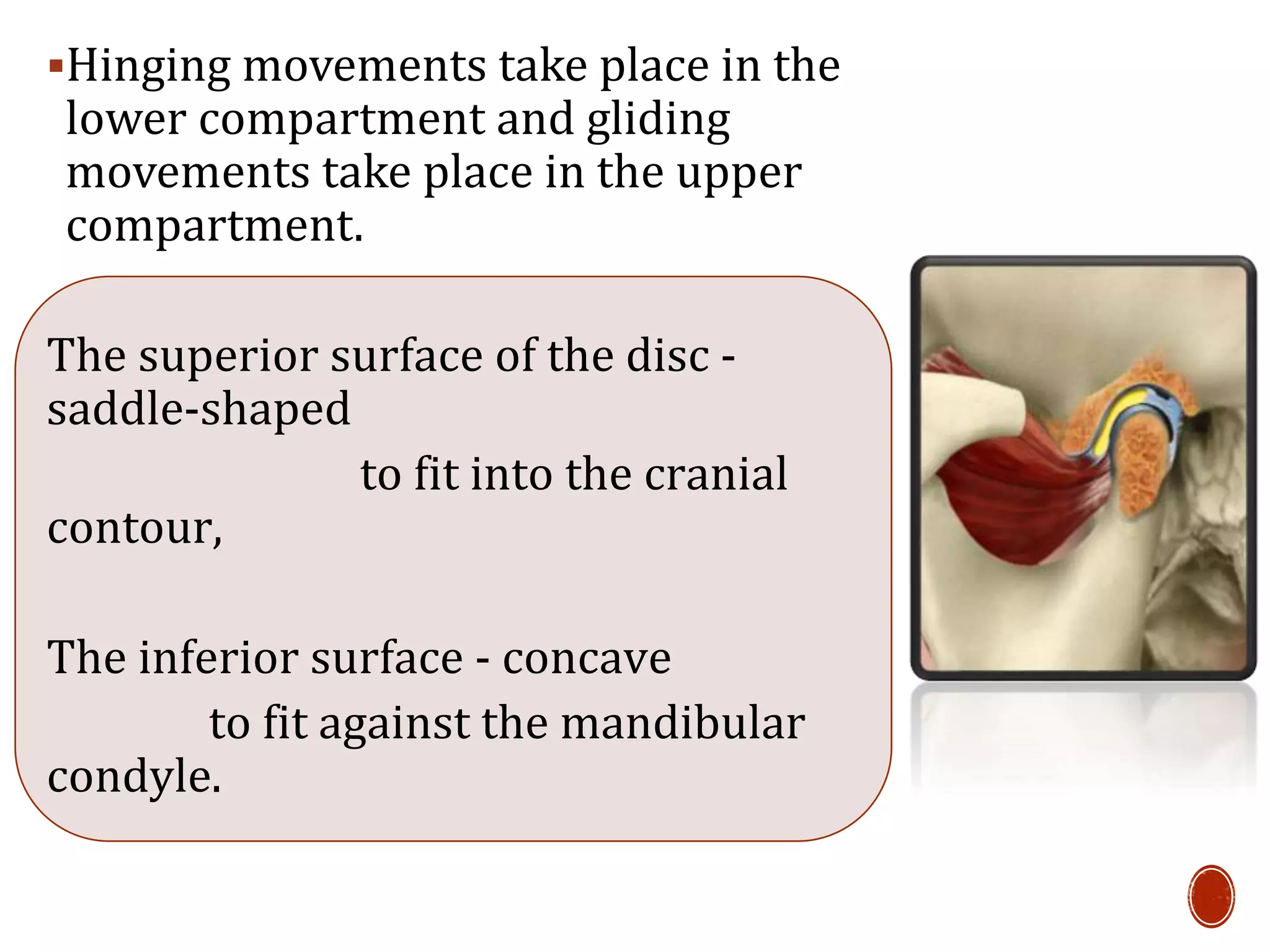 Tmj surgical anatomy and approaches | PPTX