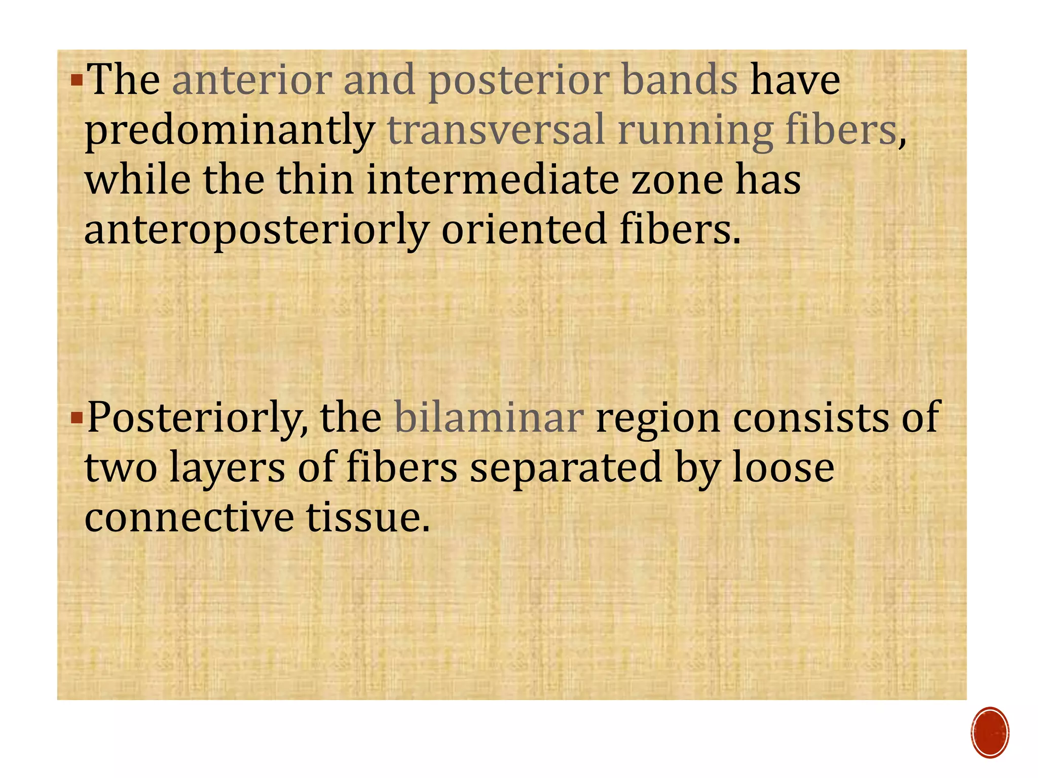 Tmj surgical anatomy and approaches | PPTX