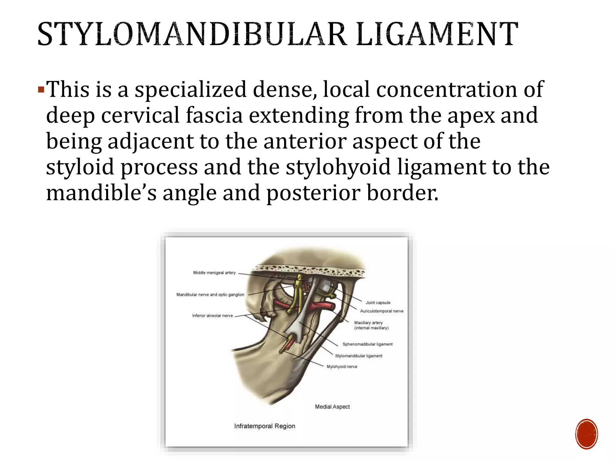 Tmj surgical anatomy and approaches | PPTX