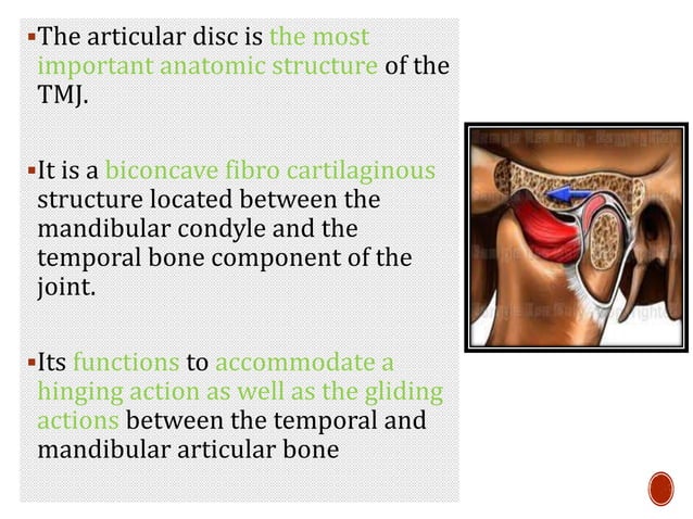 Tmj surgical anatomy and approaches | PPTX