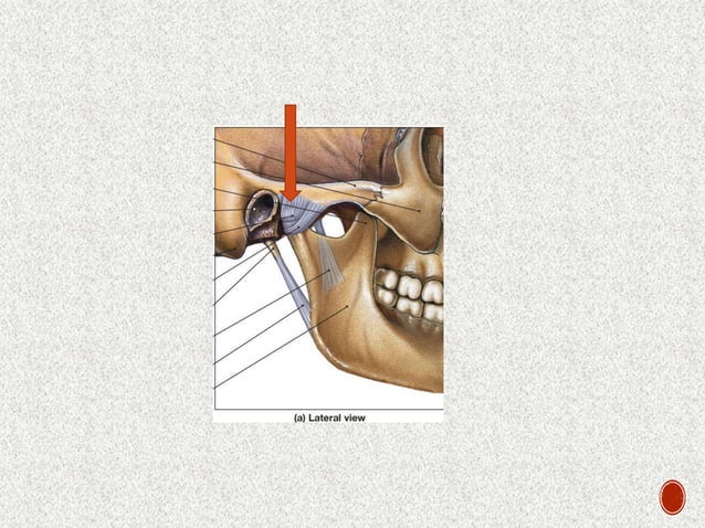 Tmj surgical anatomy and approaches | PPTX