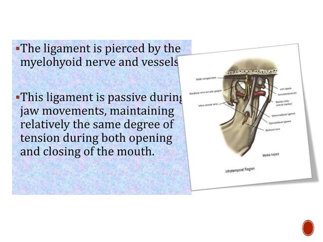 Tmj surgical anatomy and approaches | PPTX