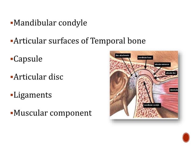 Tmj surgical anatomy and approaches | PPTX