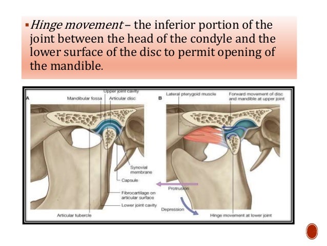 Tmj surgical anatomy and approaches