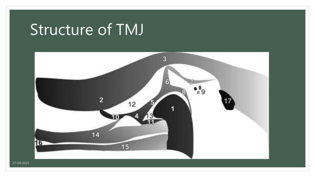 Tmj imaging | PPTX | Medical Tests | Medical Health