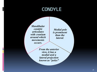 TEMPOROMANDIBULAR JOINT | PPTX