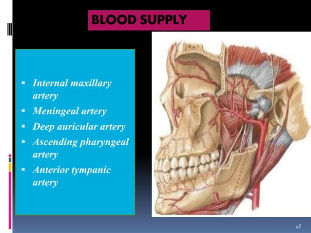 TEMPOROMANDIBULAR JOINT | PPTX