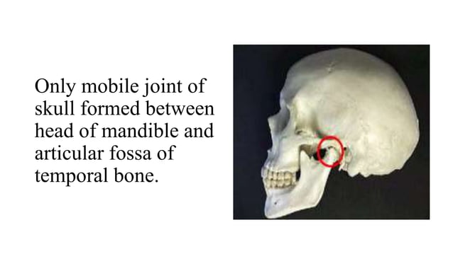 CT Temporomandibularjoints.pptx