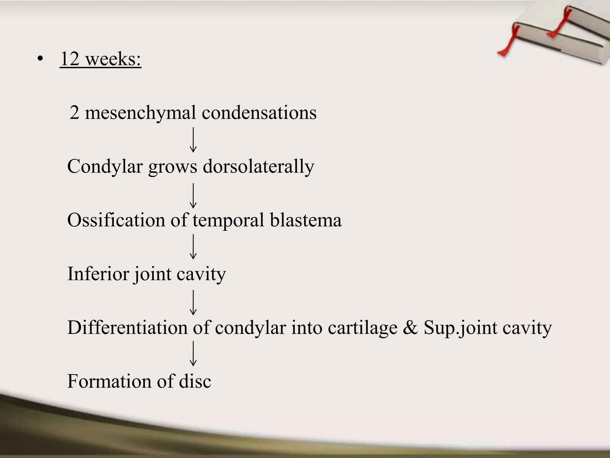 temporomandibular joint | PPTX