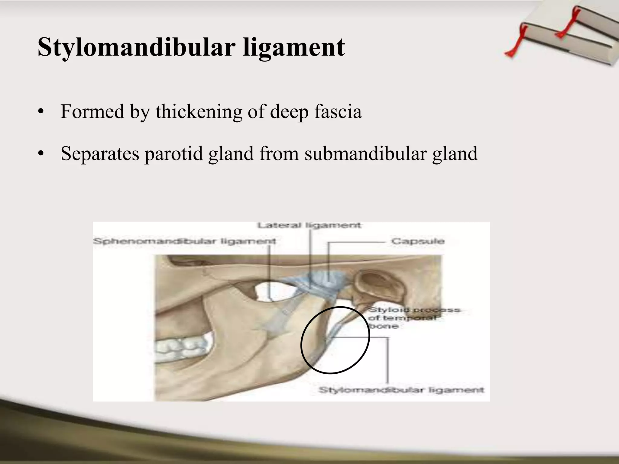 temporomandibular joint | PPTX