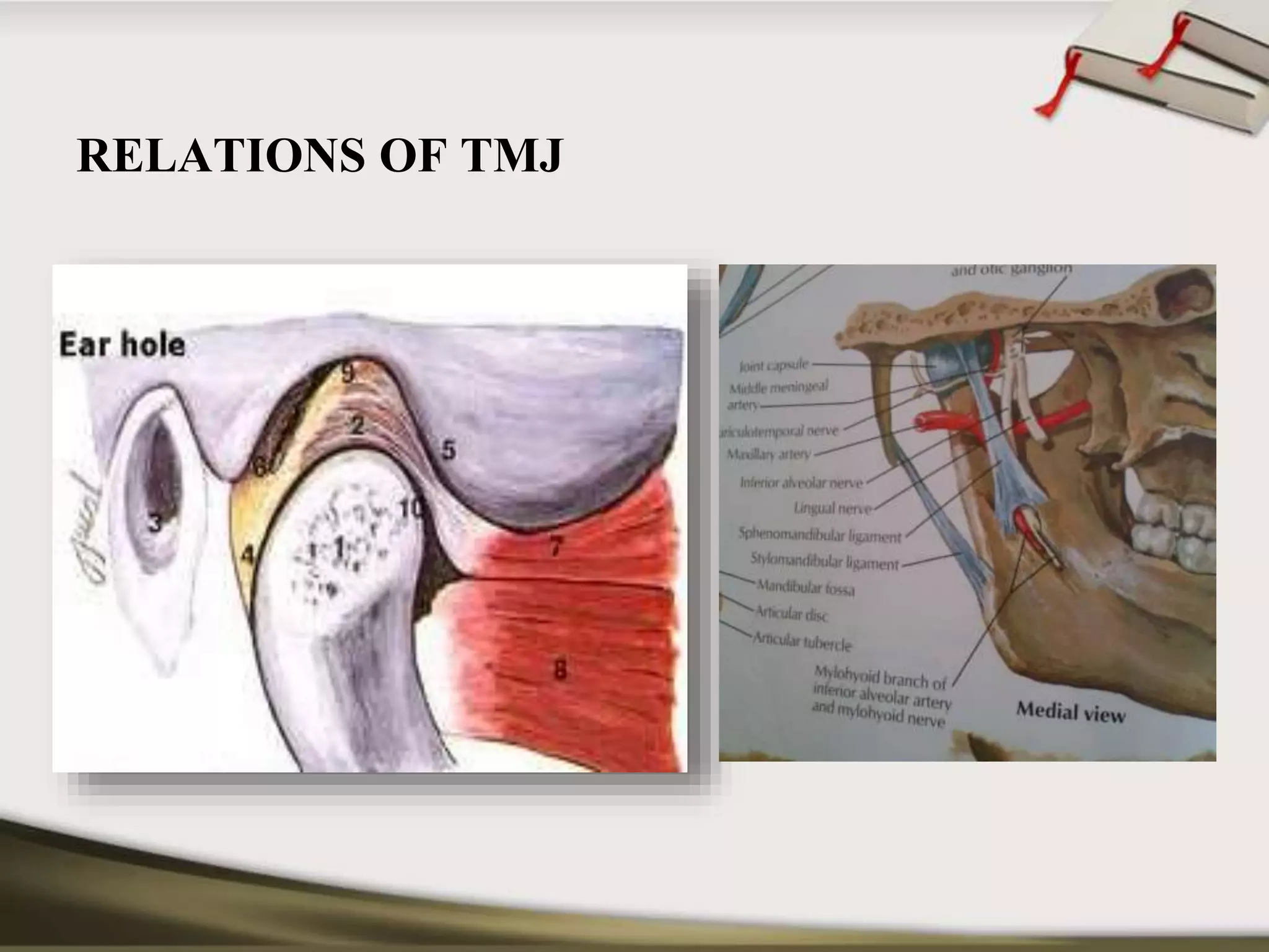 temporomandibular joint | PPTX