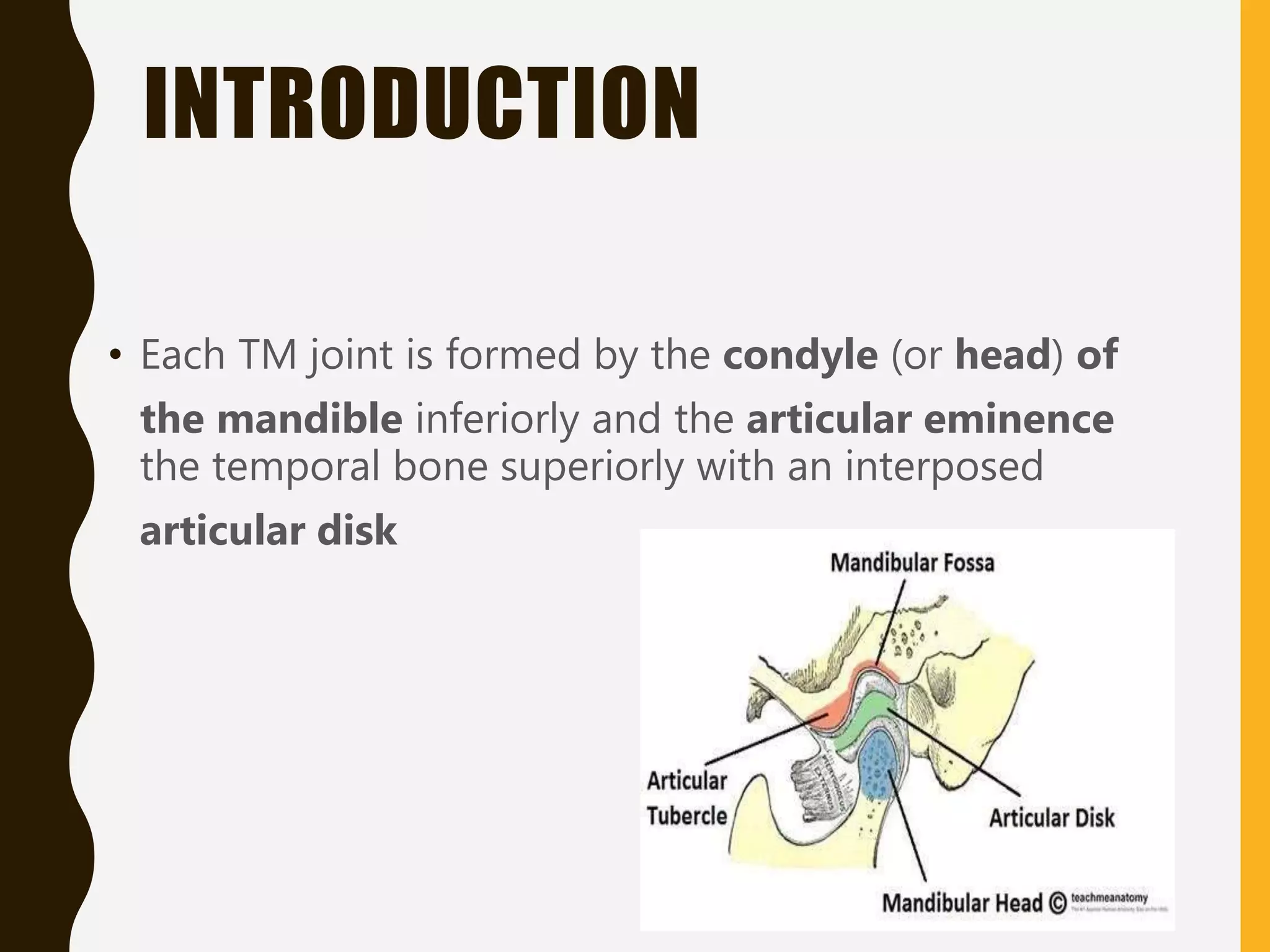tmjoint-190625090538.pdf