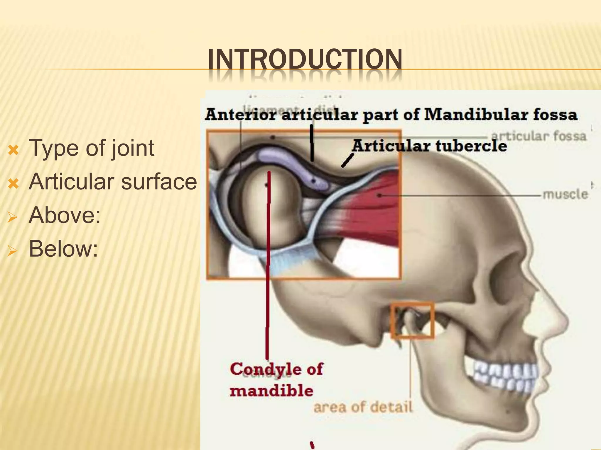 Tm joint, mandibular nerve | PPTX