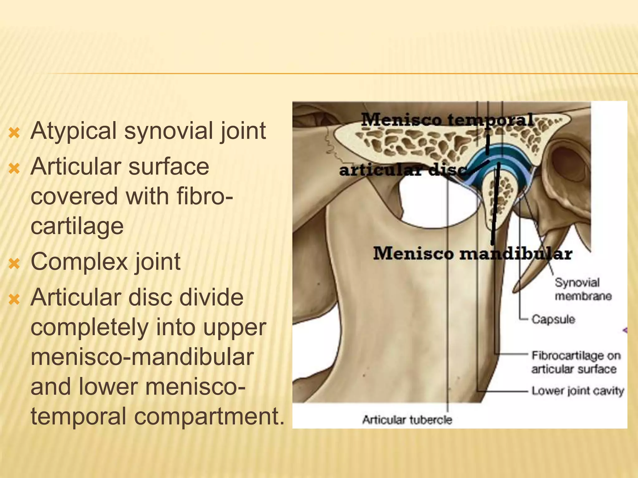 Tm joint, mandibular nerve | PPTX